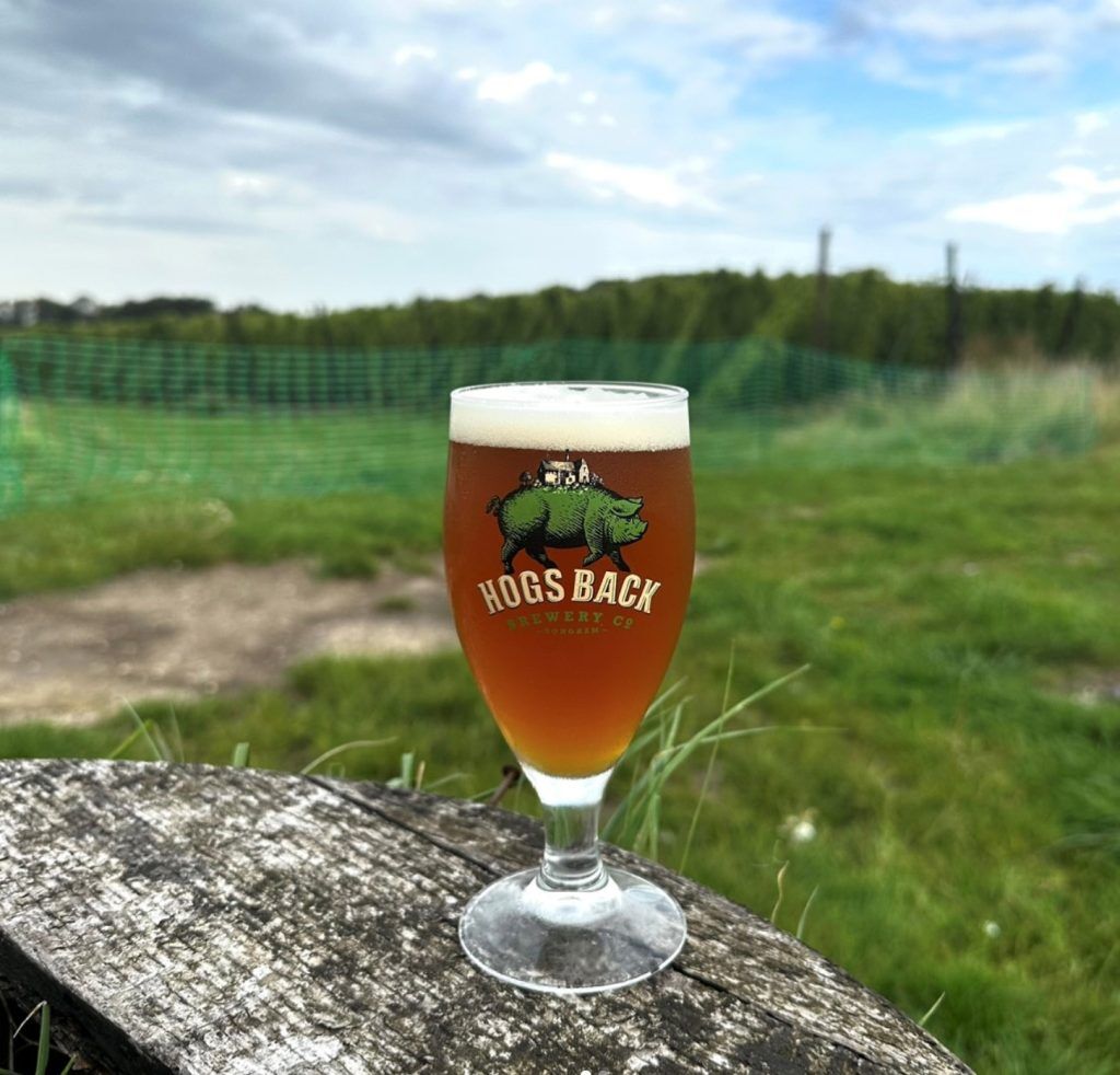 Hogs Back Brewery - Surrey Event Professionals